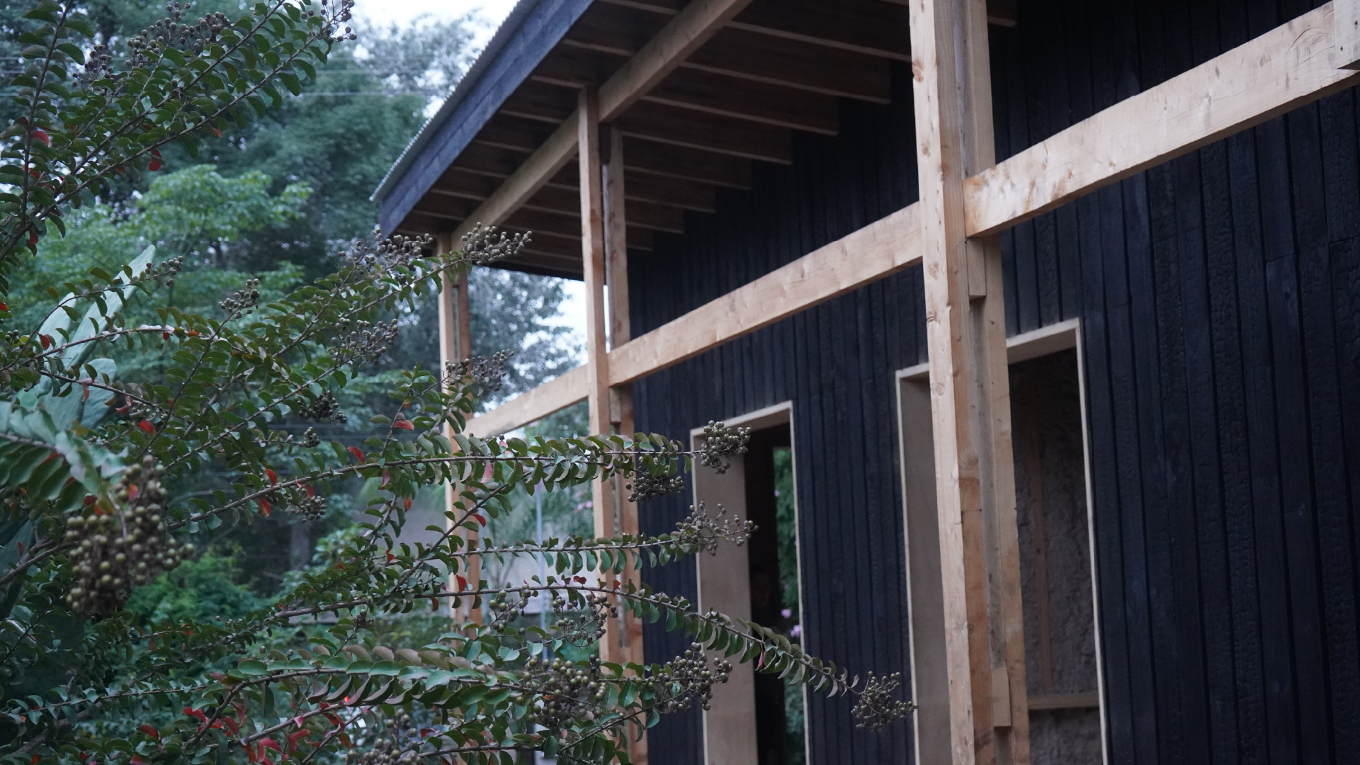 biocool - Bioaislación termoacústica Natural 100% Lana de oveja